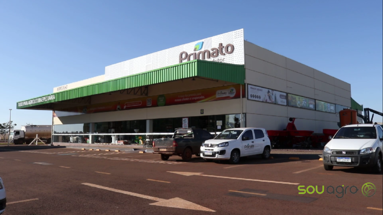 Diversificar para crescer. Primato completa 24 anos