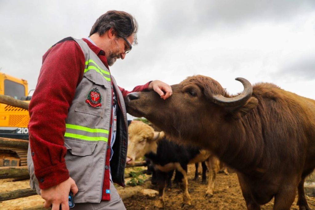 80 anos da Seab: Exposição traz a evolução e a força do agro